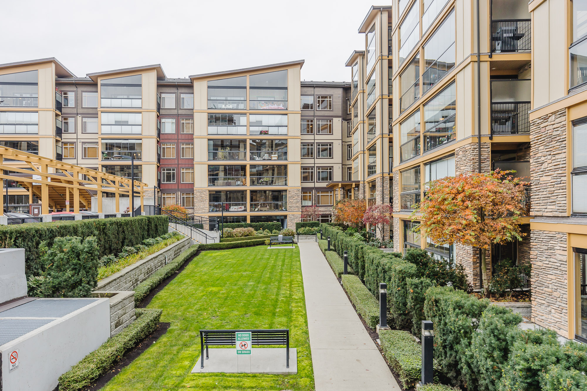 509 - 32445 Simon Avenue, Abbotsford | MLS# R3110747 | Cotala Cross Media